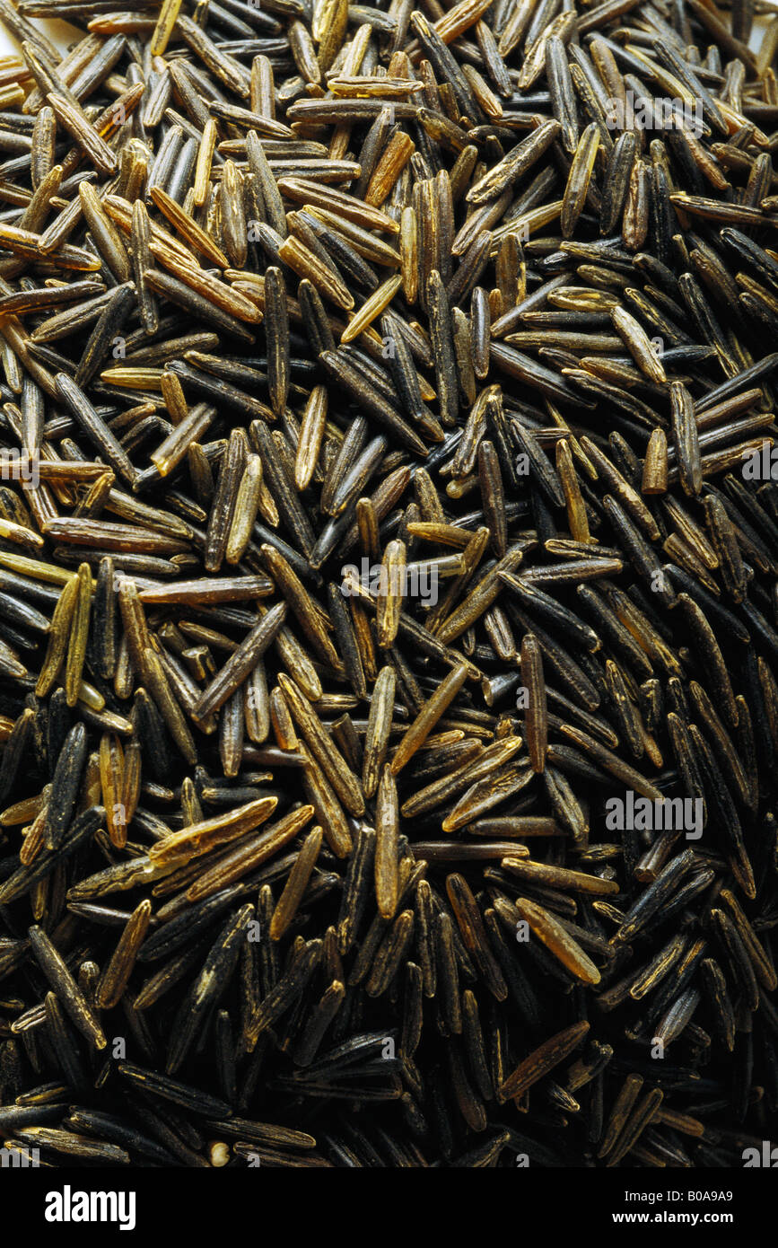 Wild rice, extreme close-up, full frame Stock Photo - Alamy