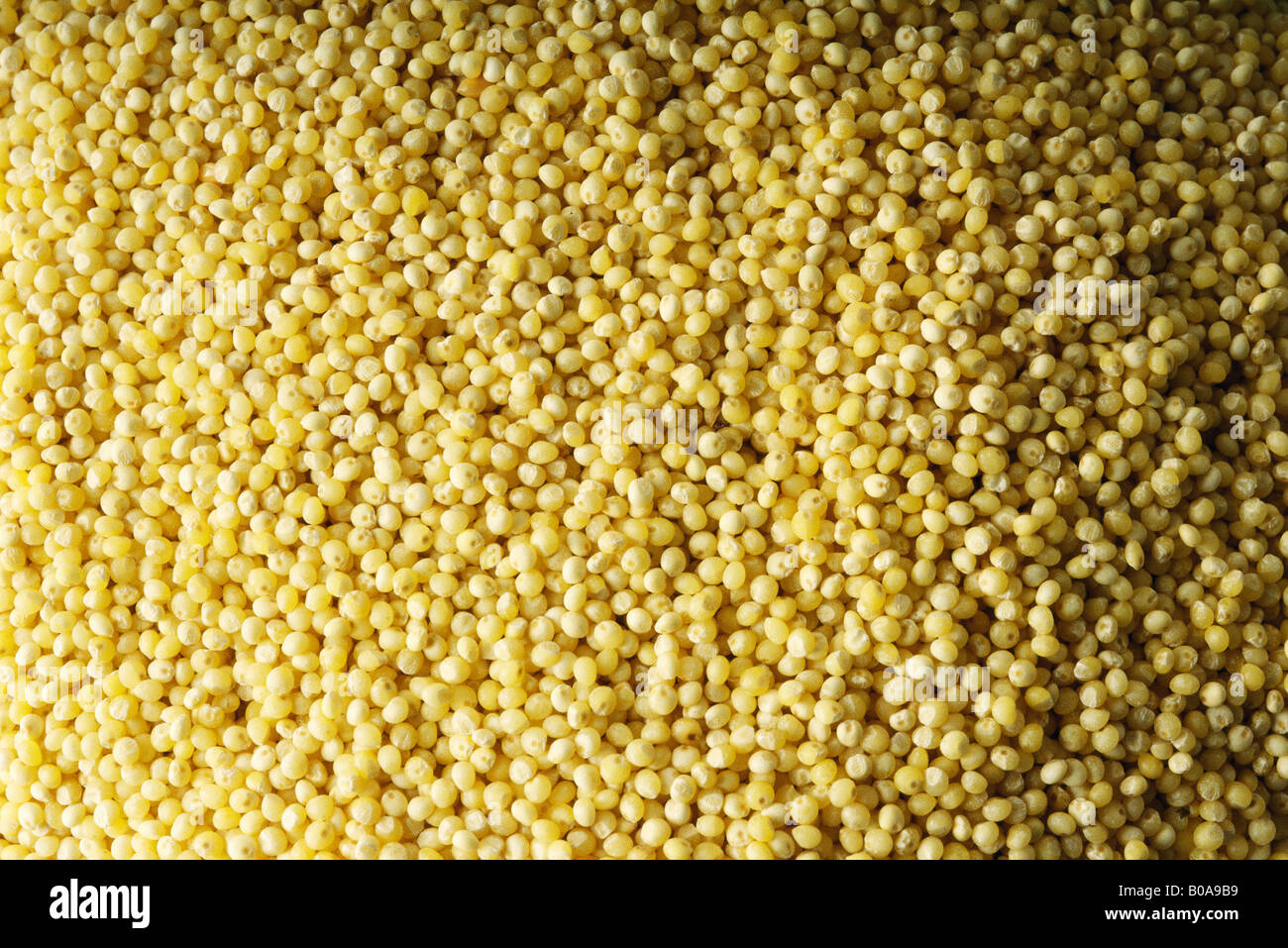 Millets backgrounds hi-res stock photography and images - Alamy