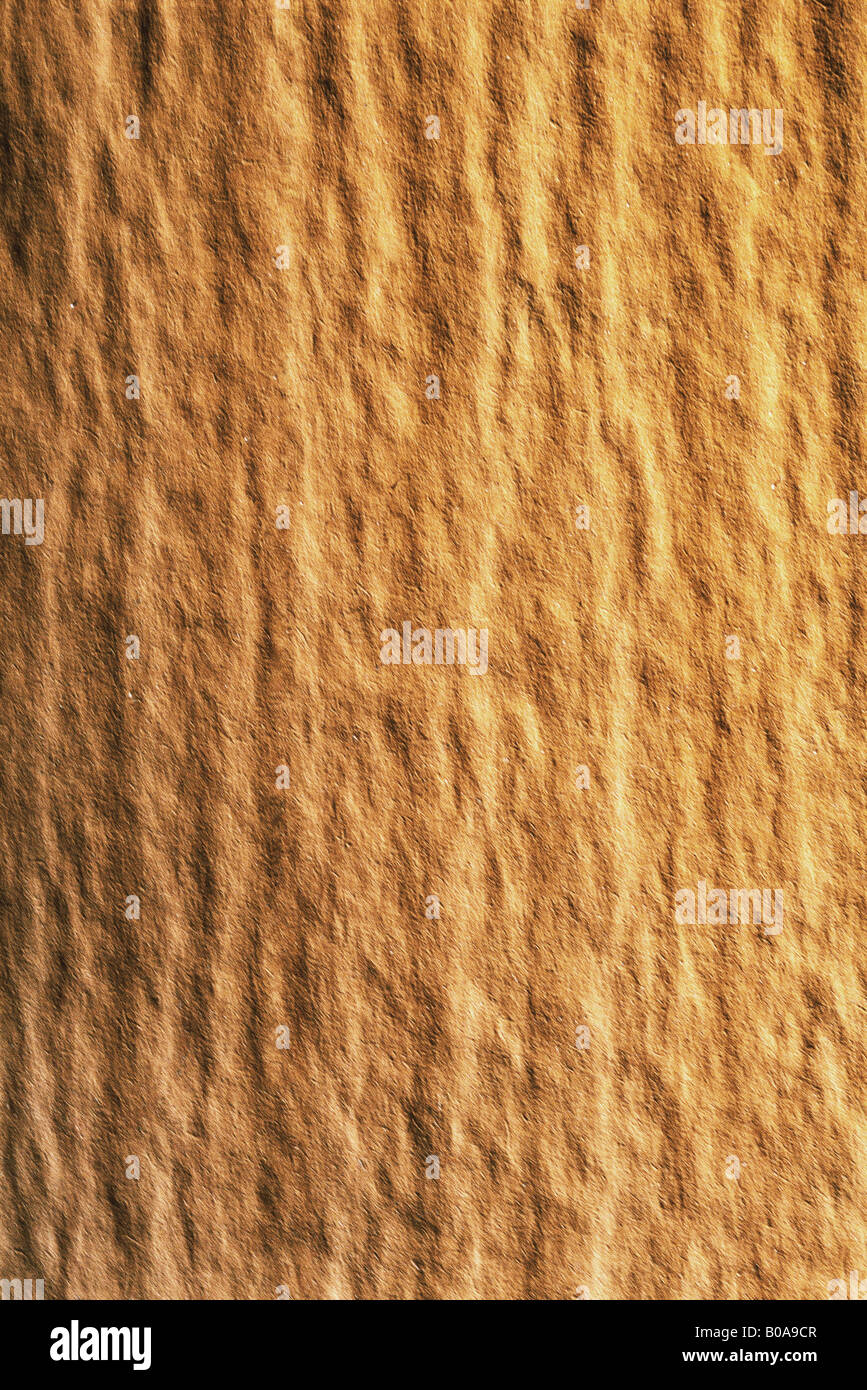 Bumpy Surface High Resolution Stock Photography and Images - Alamy