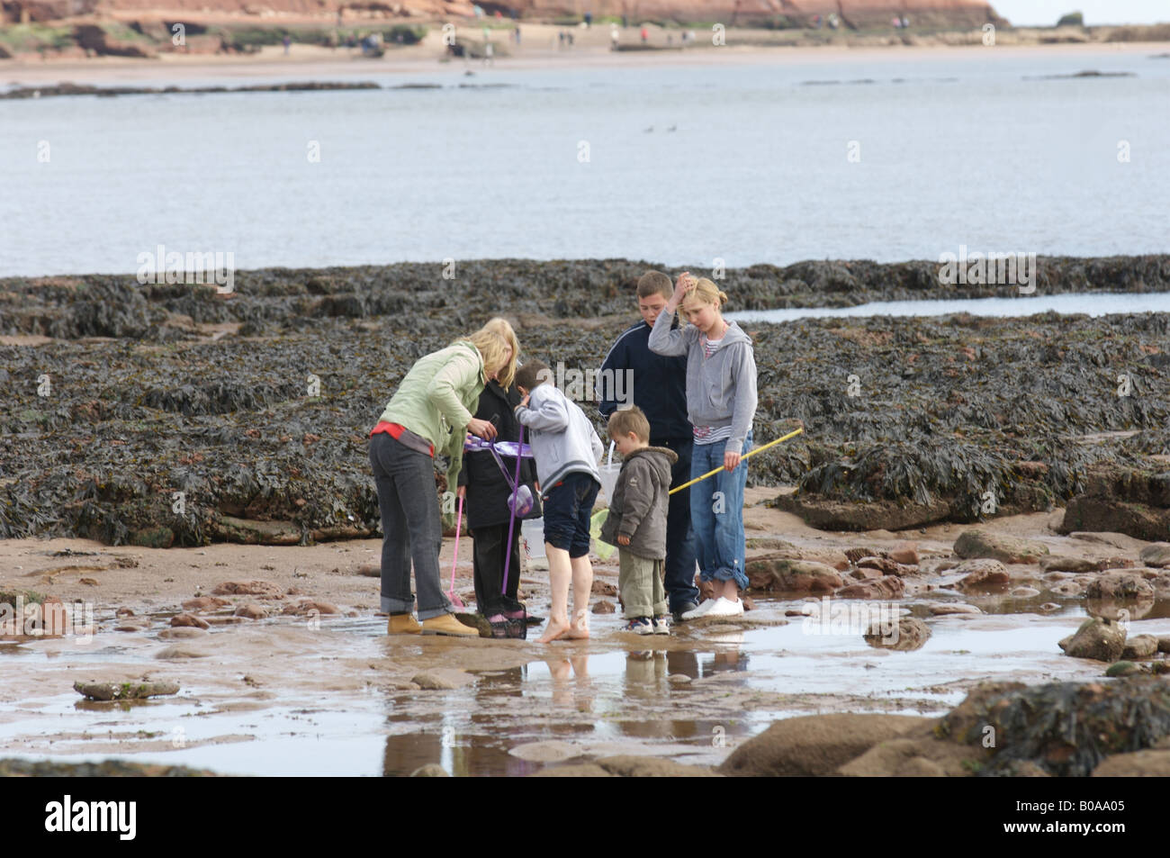 Rock Pool Net Bucket High Resolution Stock Photography and Images - Alamy