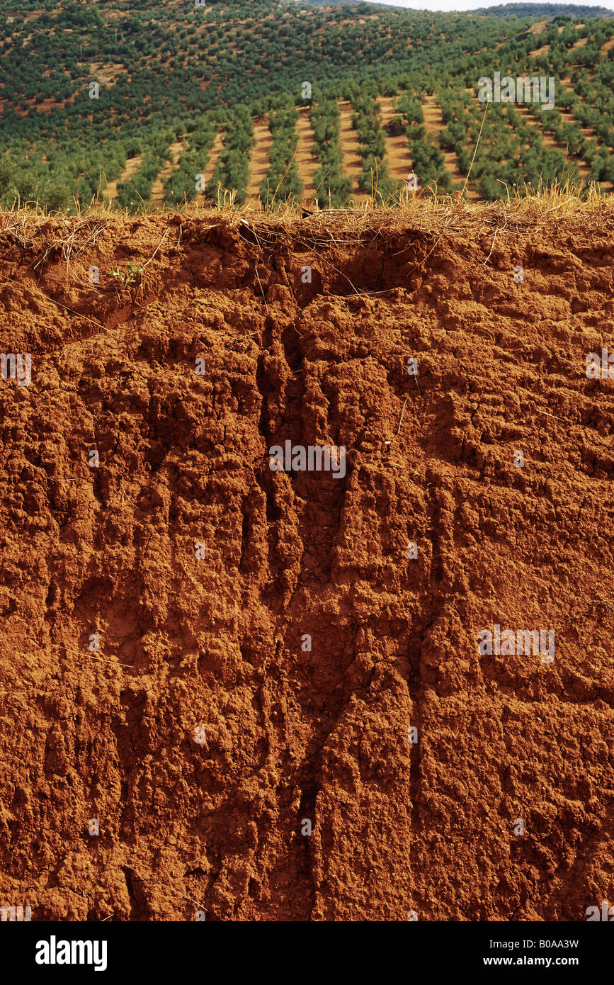 Eroded cliff, hillside in background Stock Photo - Alamy