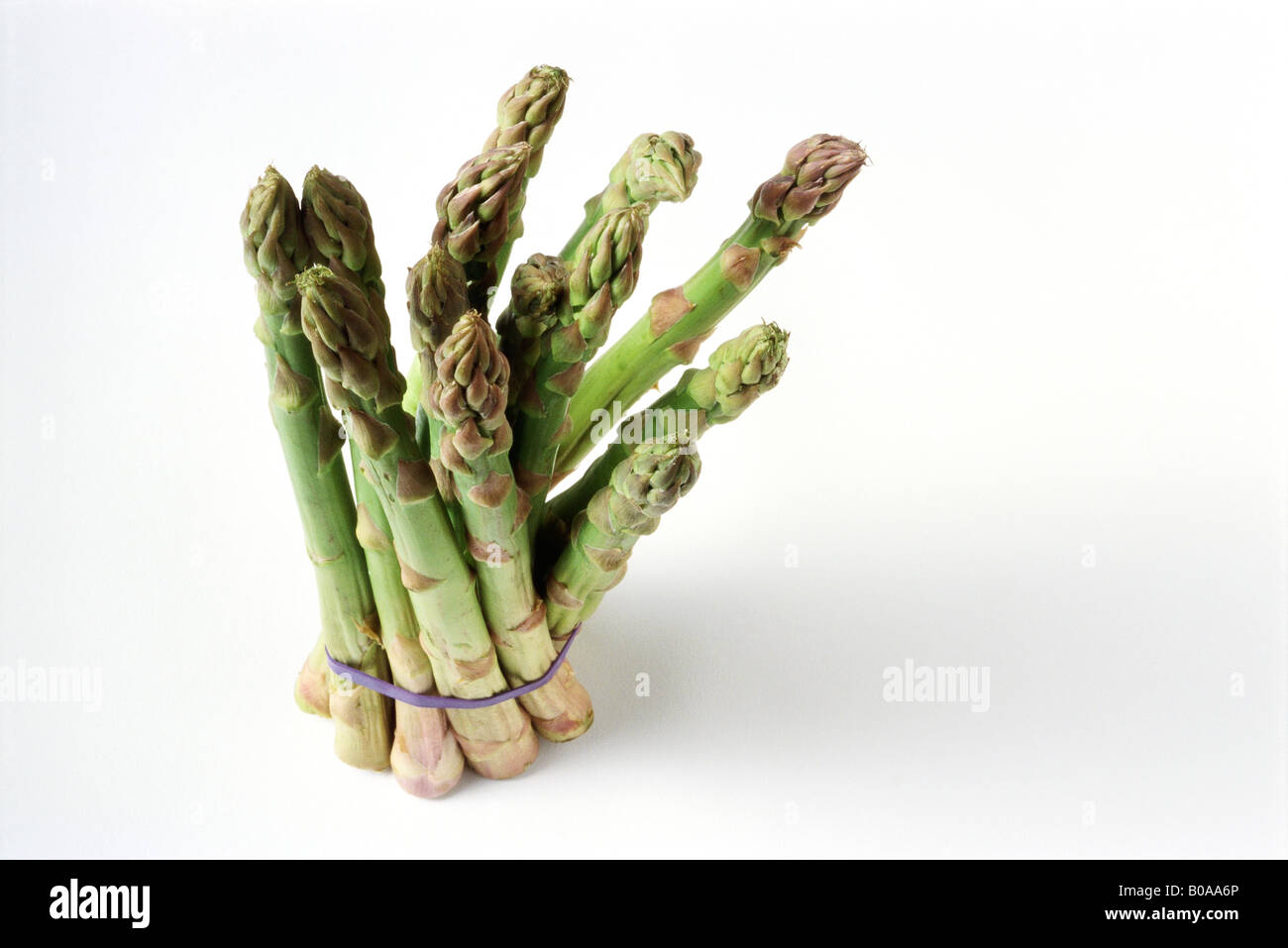 Asparagus close up high angle view hi-res stock photography and images ...