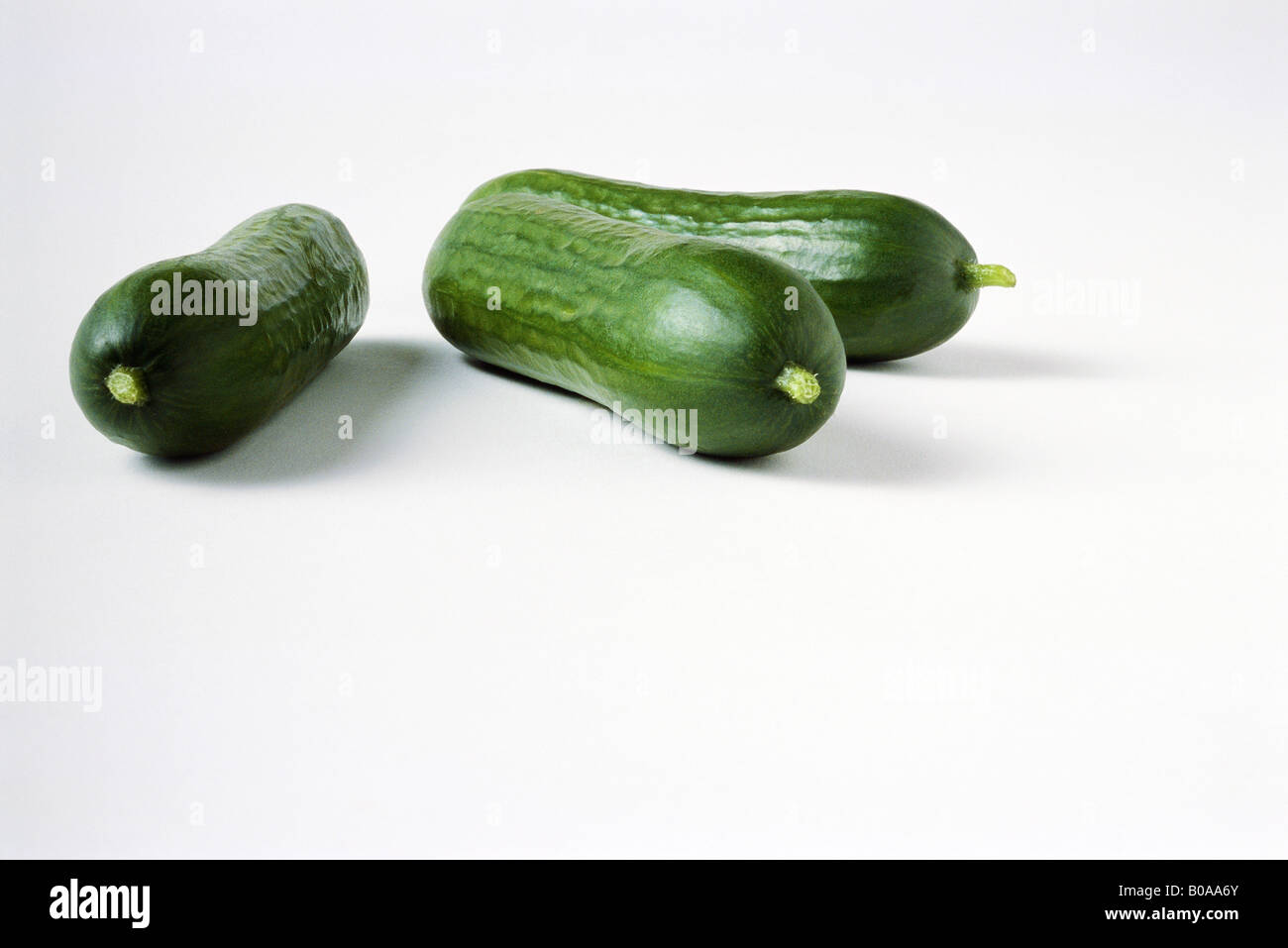 Ripe cucumbers, close-up Stock Photo - Alamy