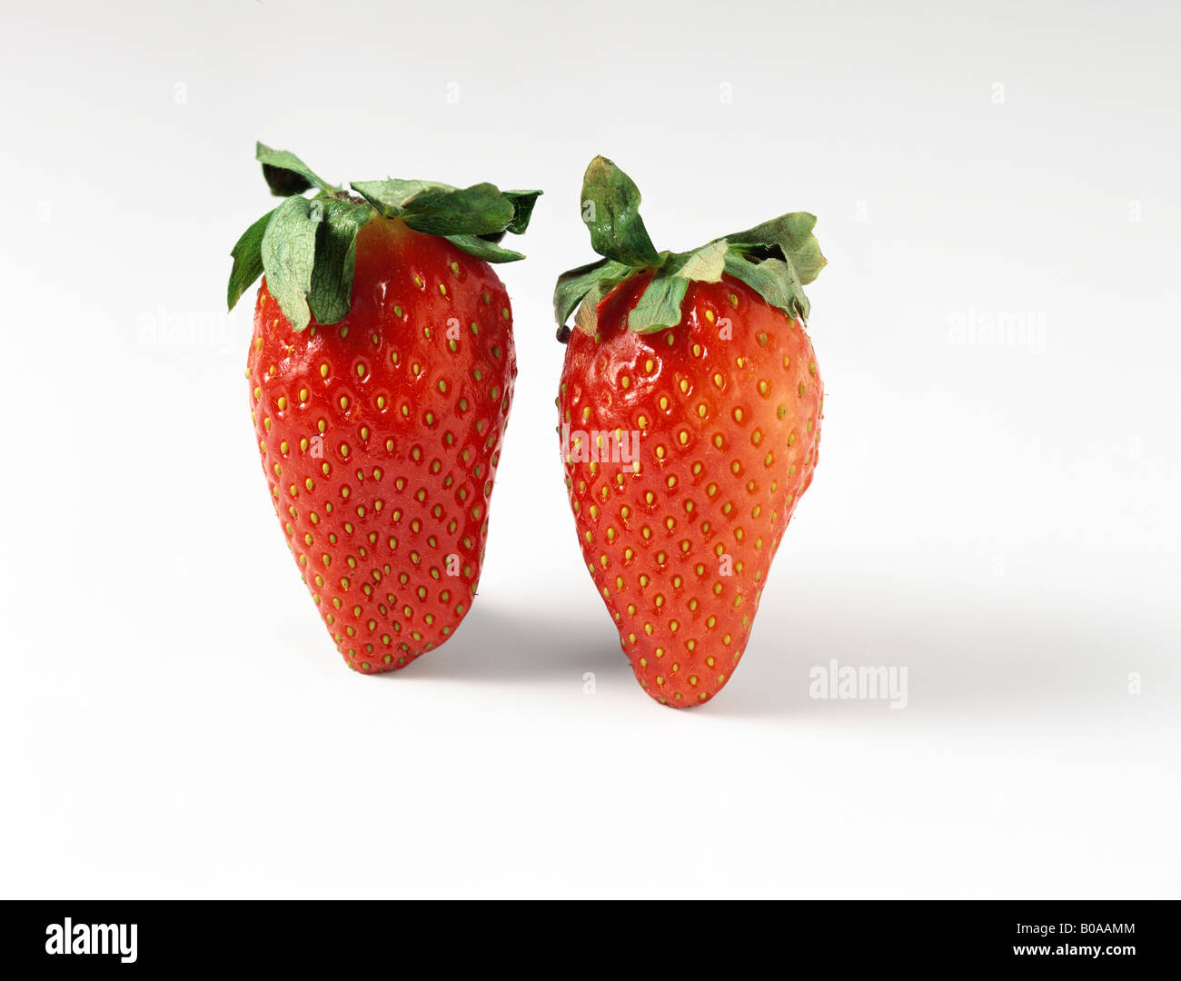 Close ups strawberries hi-res stock photography and images - Alamy