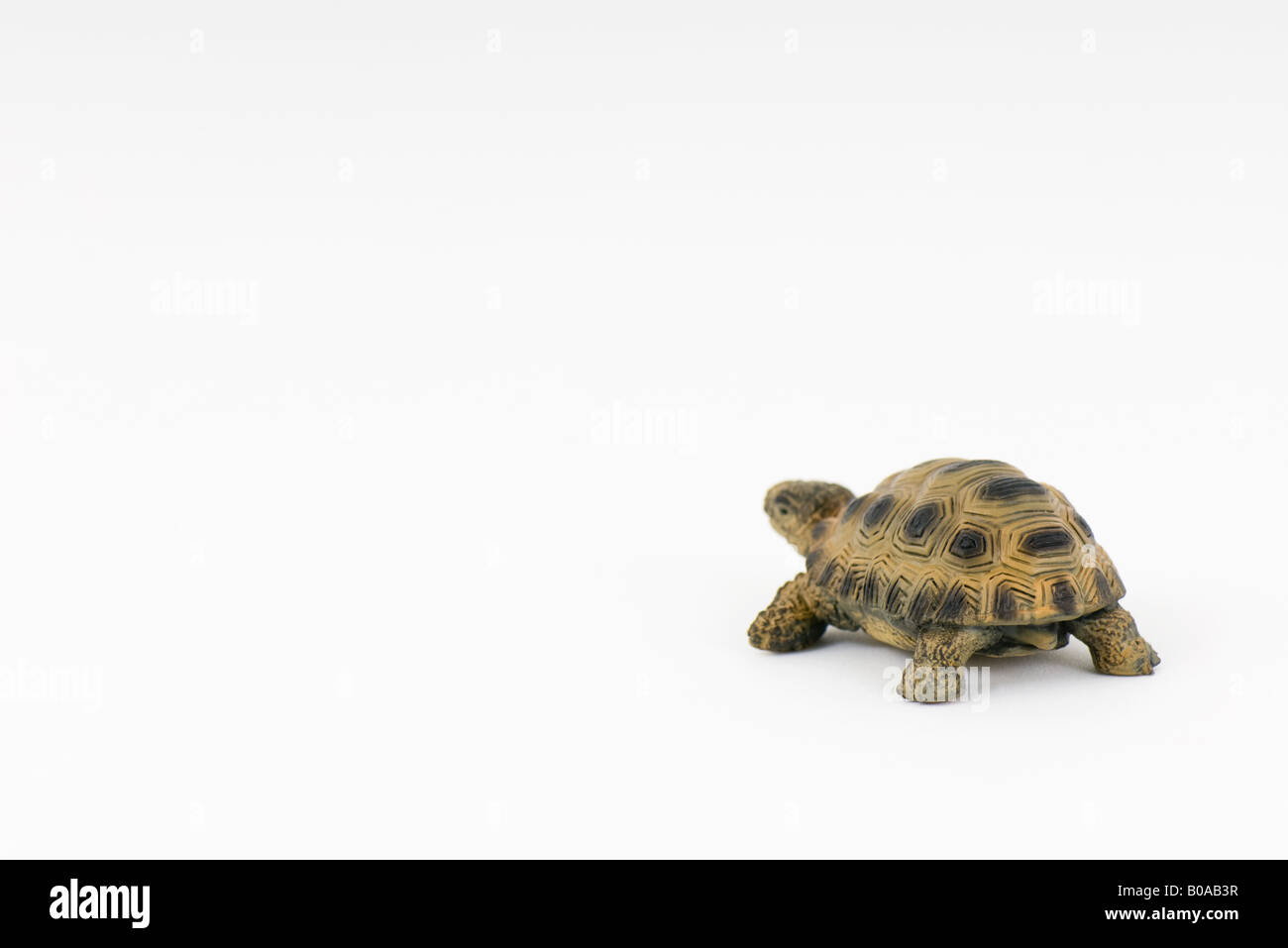 Slow and steady wins the race hi-res stock photography and images - Alamy