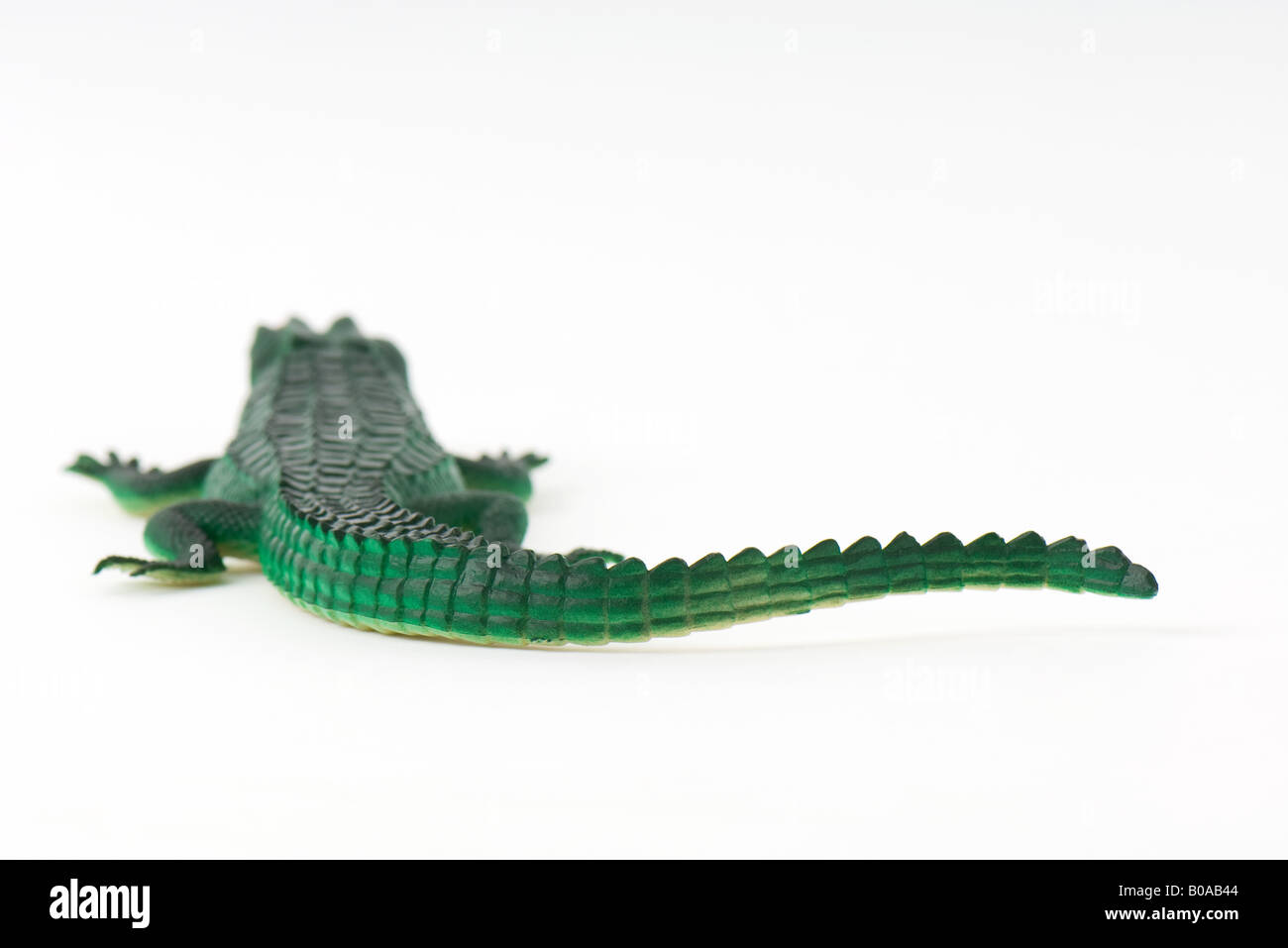 Alligator colors hi-res stock photography and images - Alamy