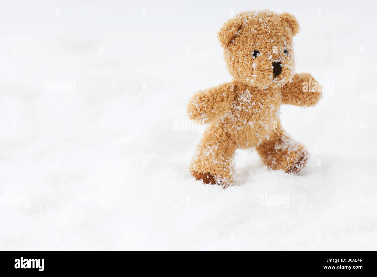 Teddy bear in snow Stock Photo - Alamy