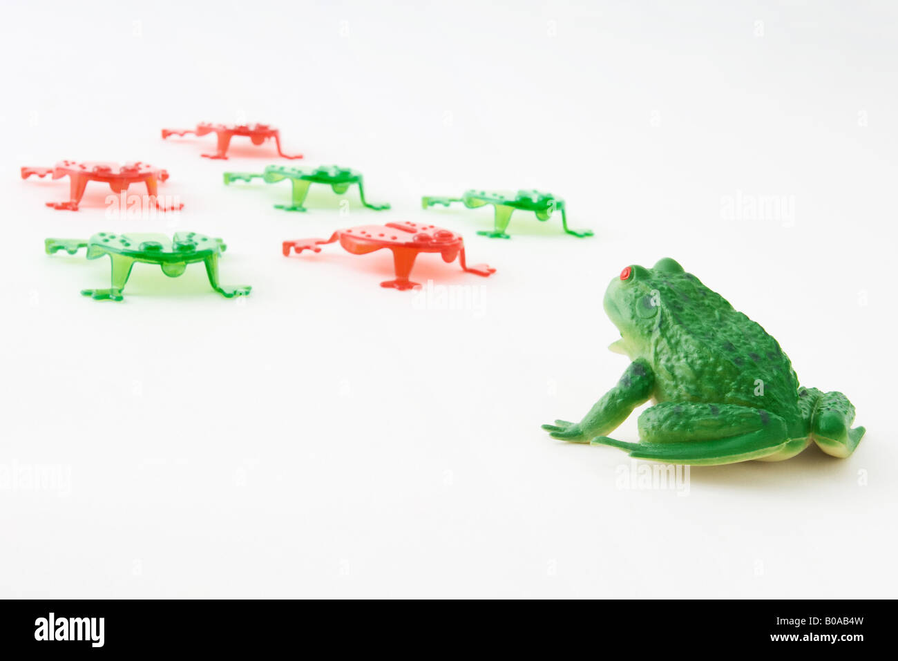 Plastic frog facing group of frog shaped game pieces Stock Photo - Alamy