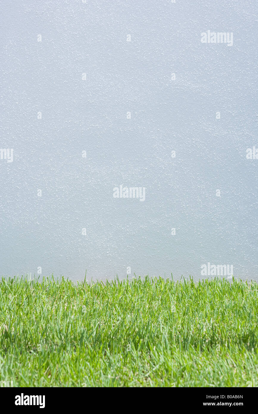 Gray wall and grass Stock Photo - Alamy