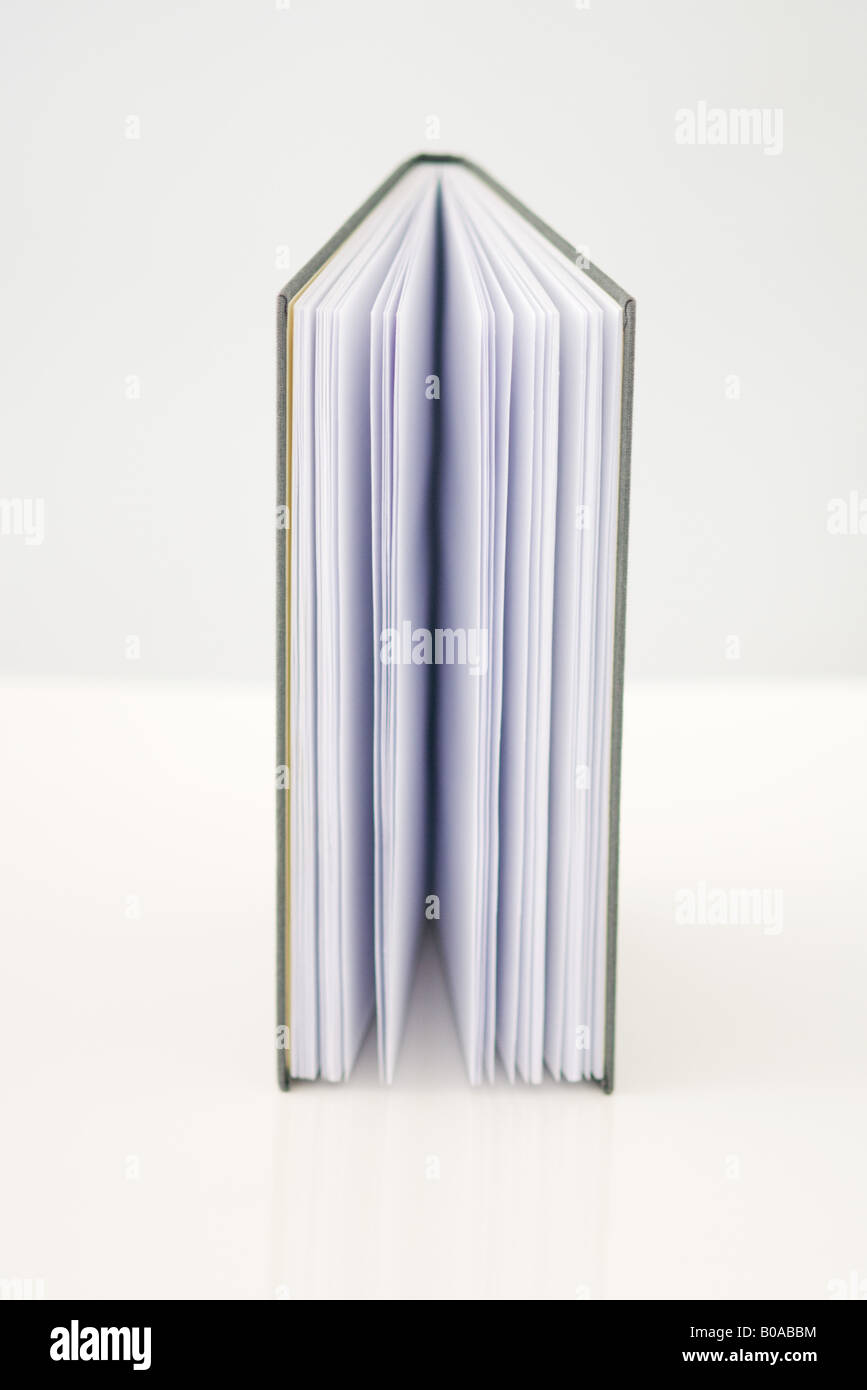 Book Standing Up Open