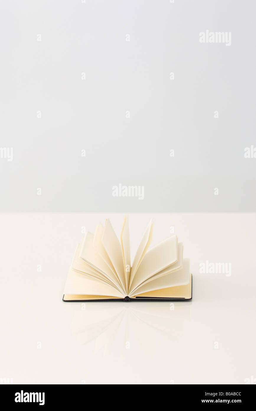 Open book with blank pages Stock Photo - Alamy