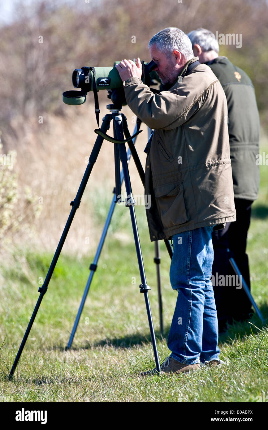 Two bird watching ornithologists Stock Photo - Alamy