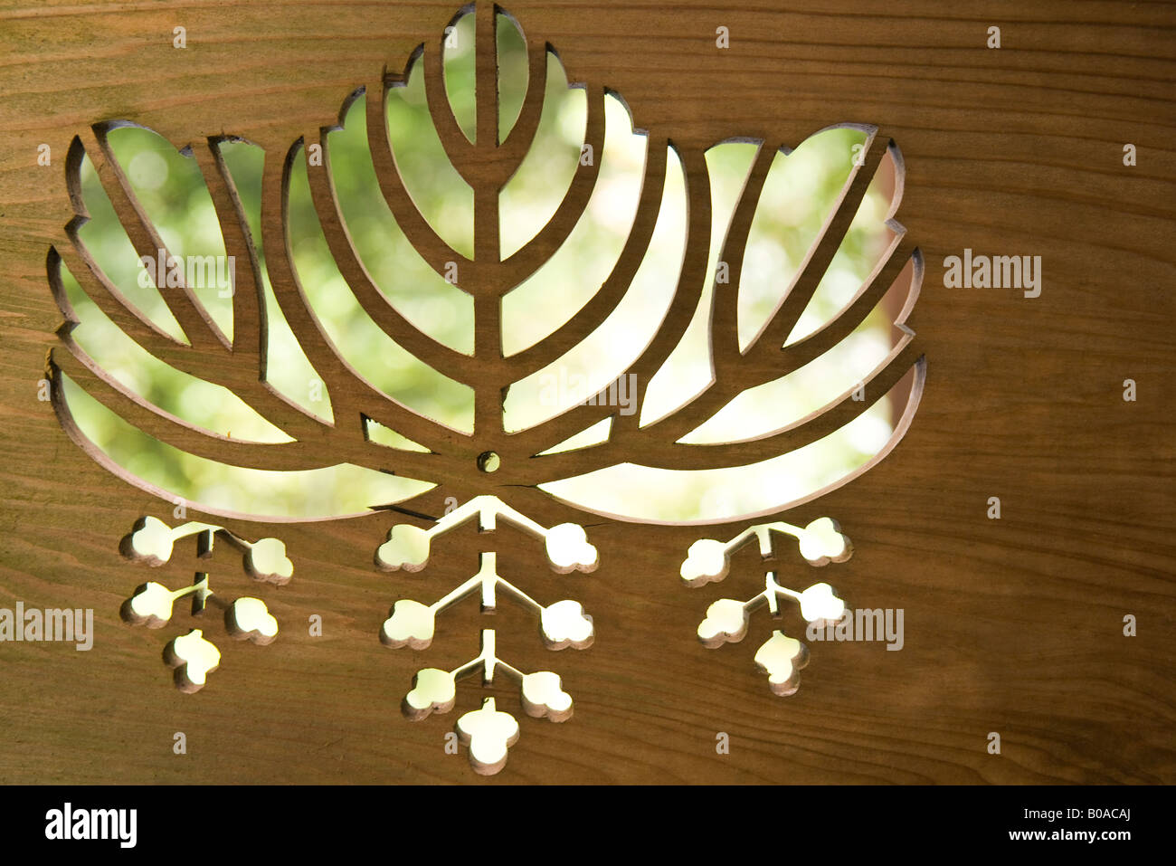 Leaf patterns to cut out hi-res stock photography and images - Alamy