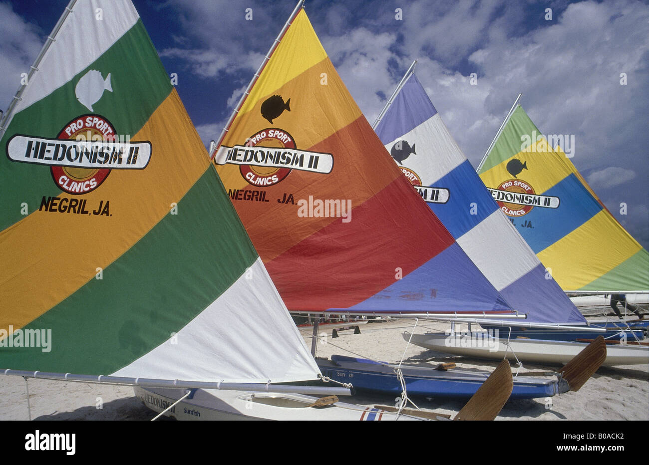 Bright sails with sign Hedonism II on boats on beach NEGRIL JAMAICA ...