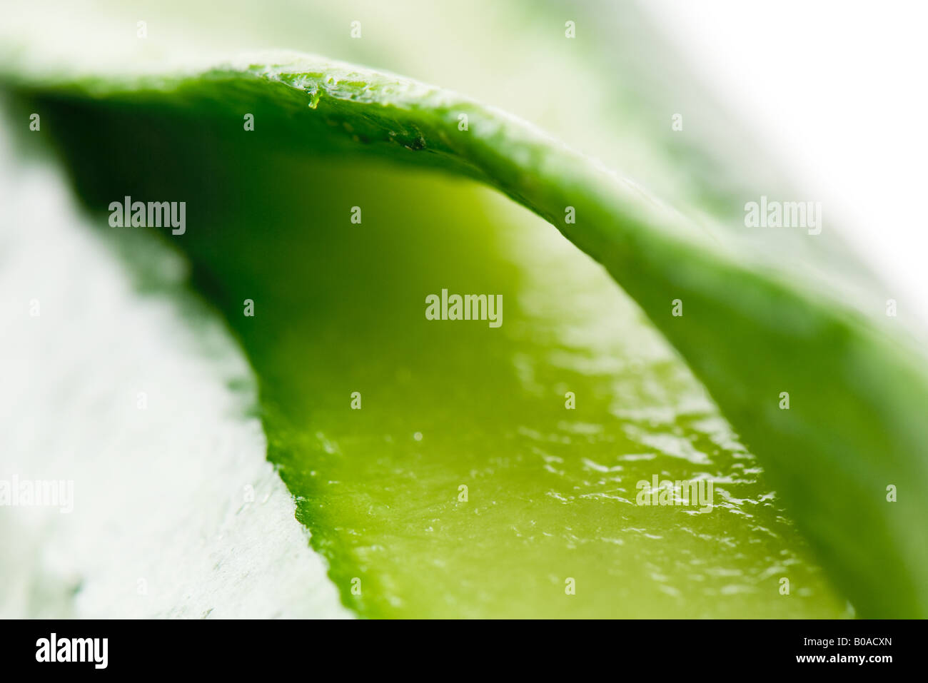Cucumber with peel hi-res stock photography and images - Alamy