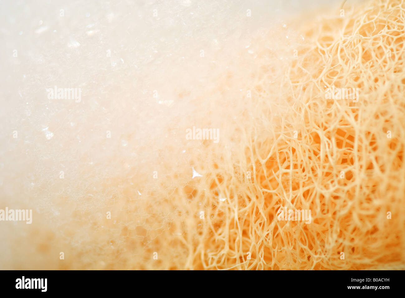 Sponge soap texture hi-res stock photography and images - Alamy