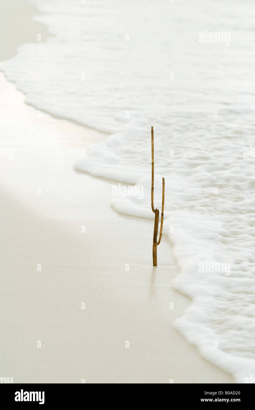 Bamboo stick in beach as tide approaches Stock Photo - Alamy