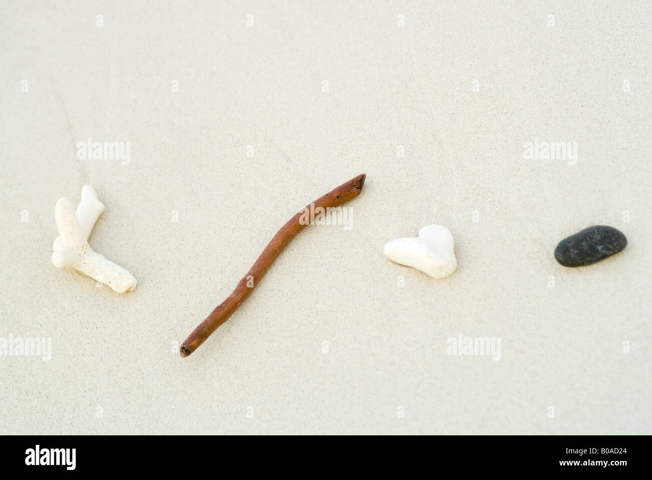 Coral, pebble, and stick lined up on the beach, close-up Stock Photo ...