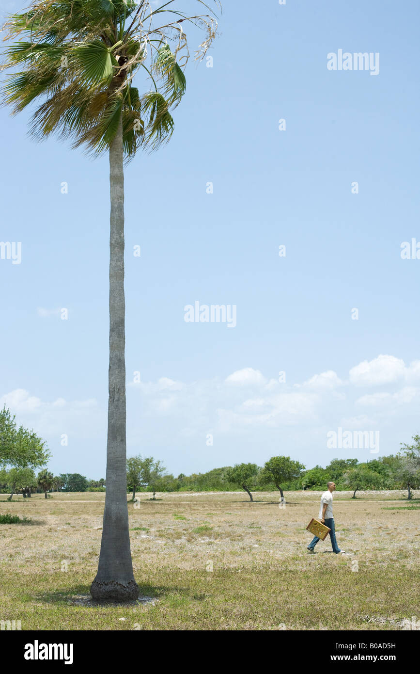 Man walking outdoors, carrying suitcase, tall palm tree in foreground ...