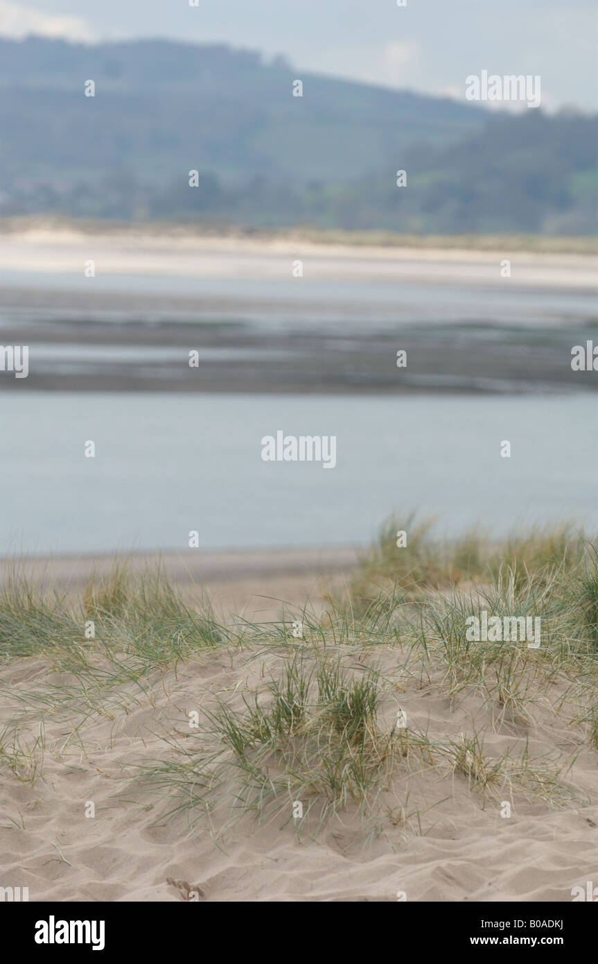Dunes beach exmouth hi-res stock photography and images - Alamy