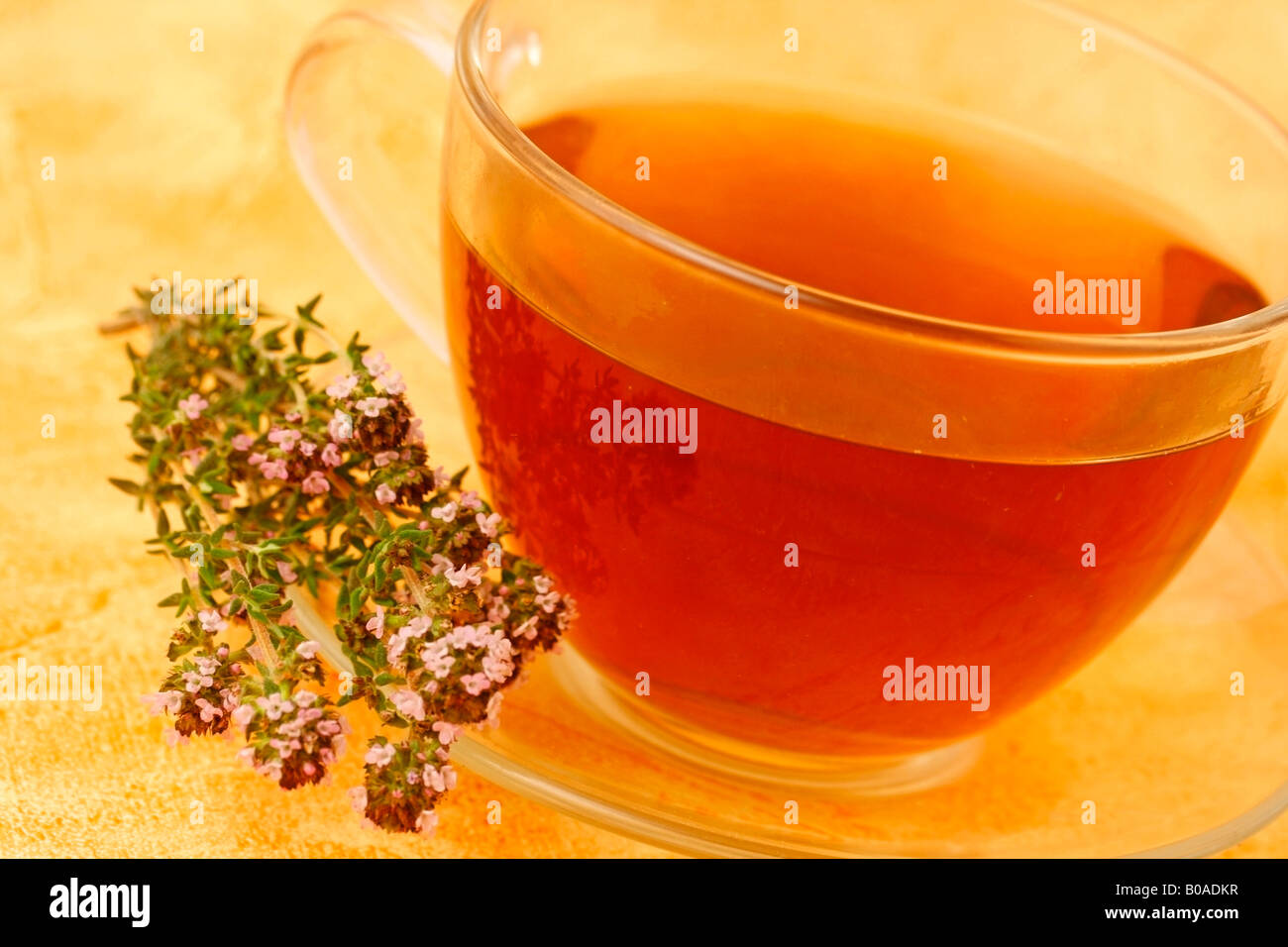 Thyme infusion hi-res stock photography and images - Alamy