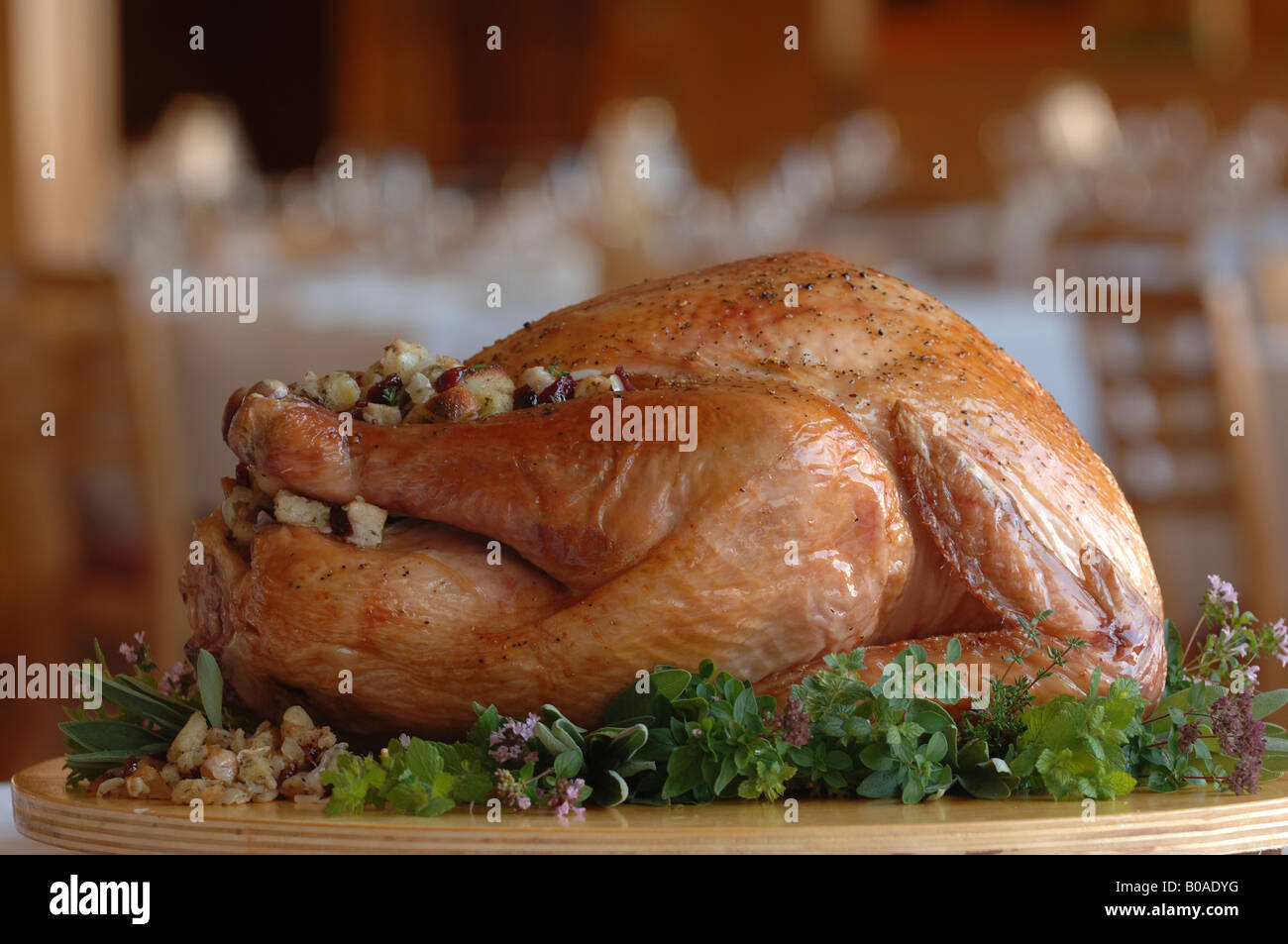 A deliciously prepared Turkey Stock Photo - Alamy