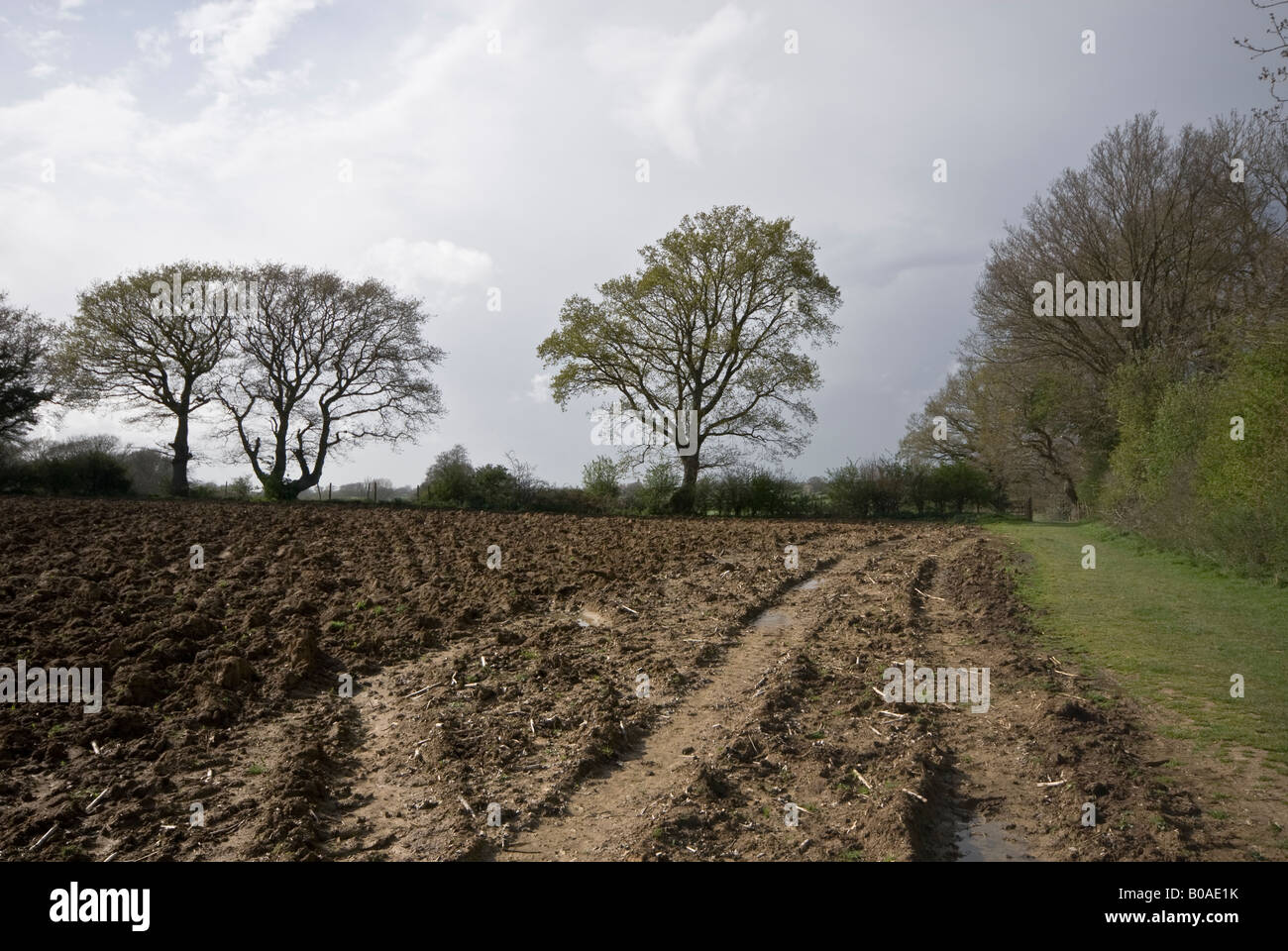 Wet ploughed field Stock Photo - Alamy