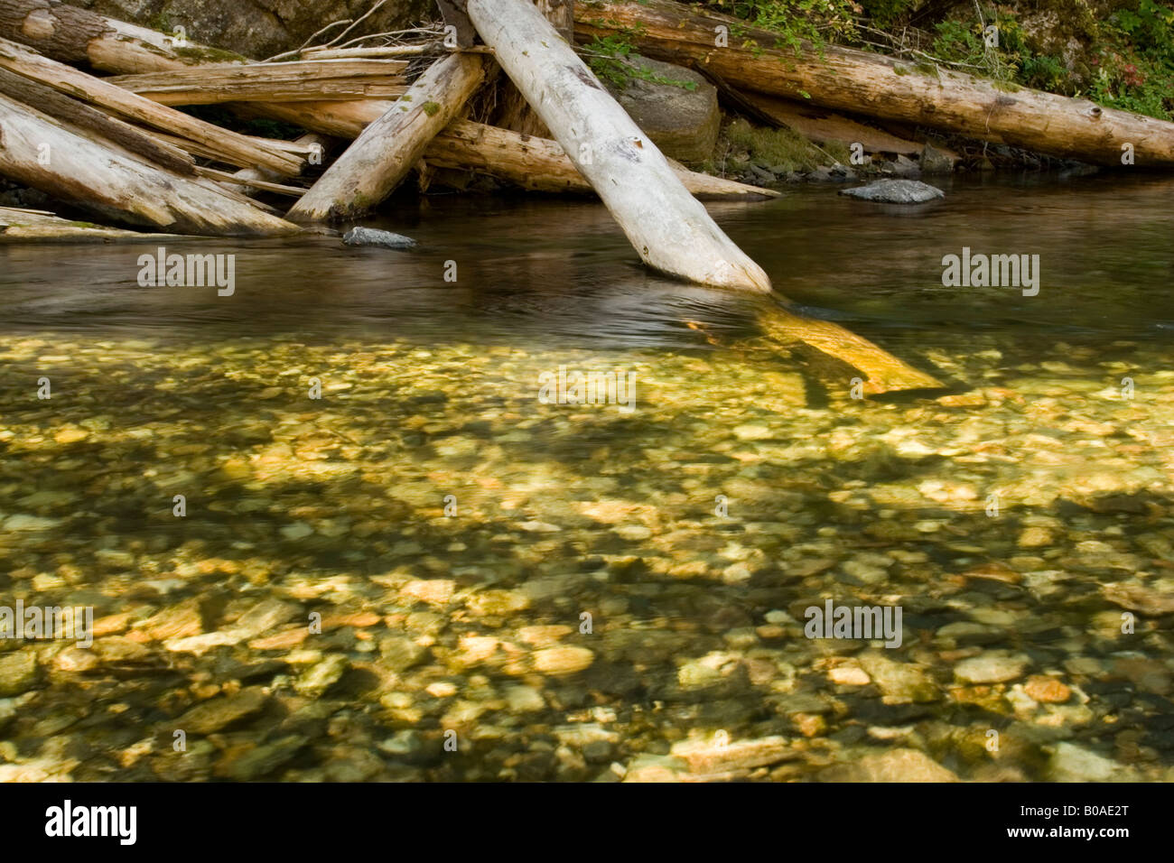 St joe river hi-res stock photography and images - Alamy