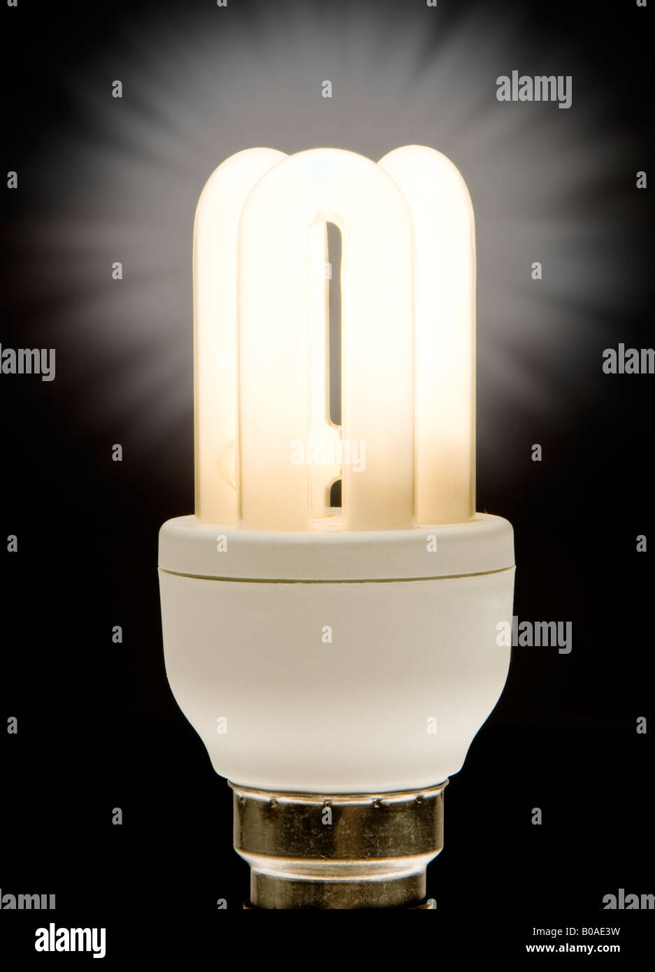 Energy saving light bulb Stock Photo - Alamy