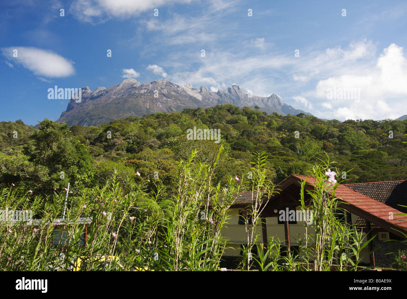 Mount Kinabalu, Kinabalu National Park, Sabah, Malaysian Borneo Stock ...