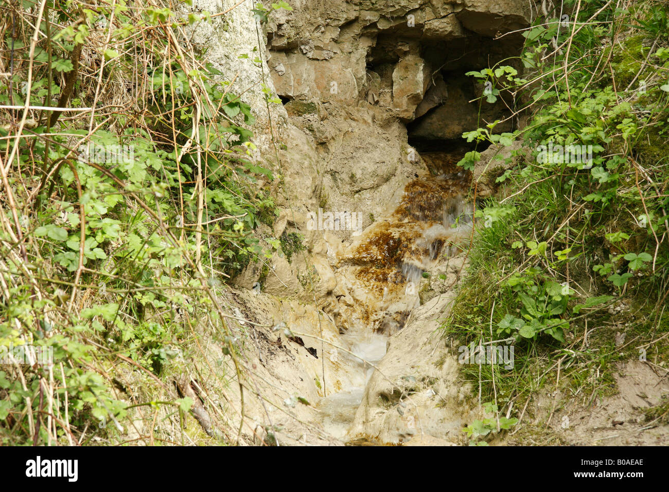 Natural spring emerging from the bottom of Barton Hills Stock Photo - Alamy