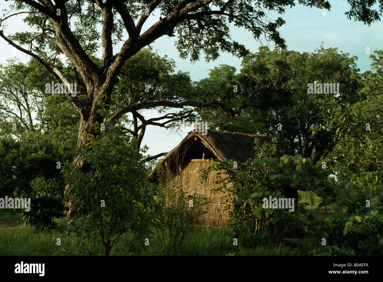 Traditional house made from grass hi-res stock photography and images ...