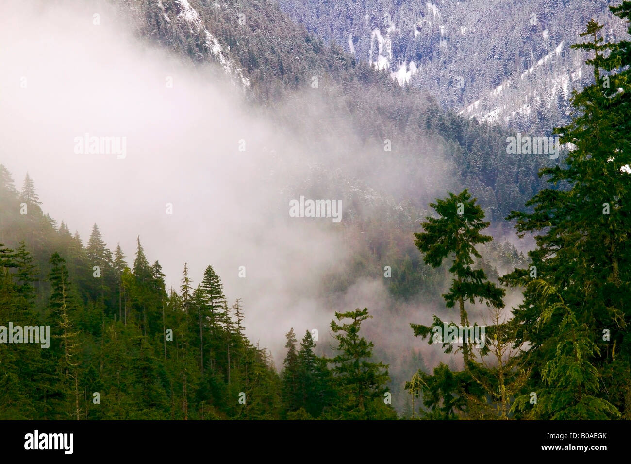 Mountains and fog above Silver Creek Wild Sky Wilderness Area ...