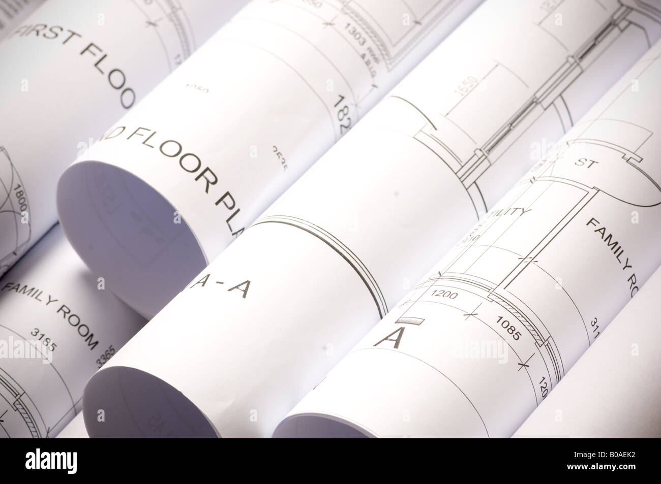 Closeup of rolled up paper copies of architectural floor plans for a ...