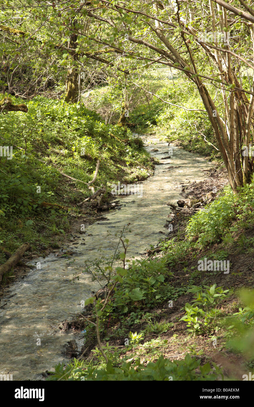 Stream running through woodlands in dappled shade Stock Photo - Alamy
