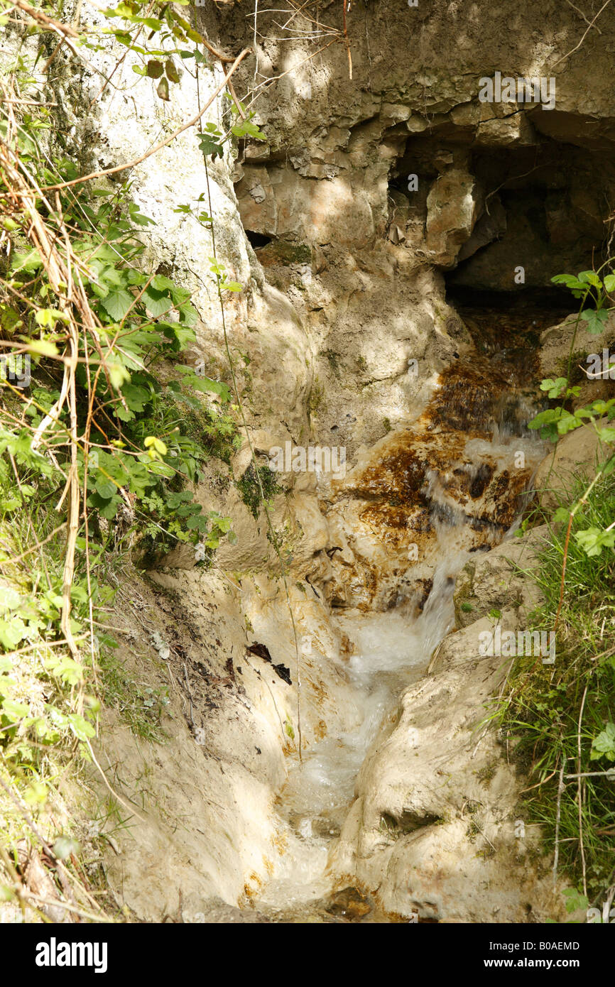 Uk natural spring water hi-res stock photography and images - Alamy