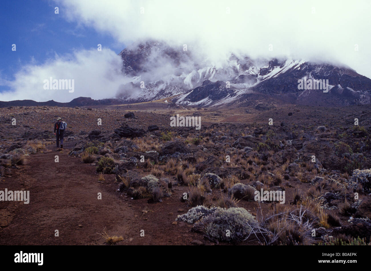 Mount Kilimanjaro, Tanzania Stock Photo - Alamy