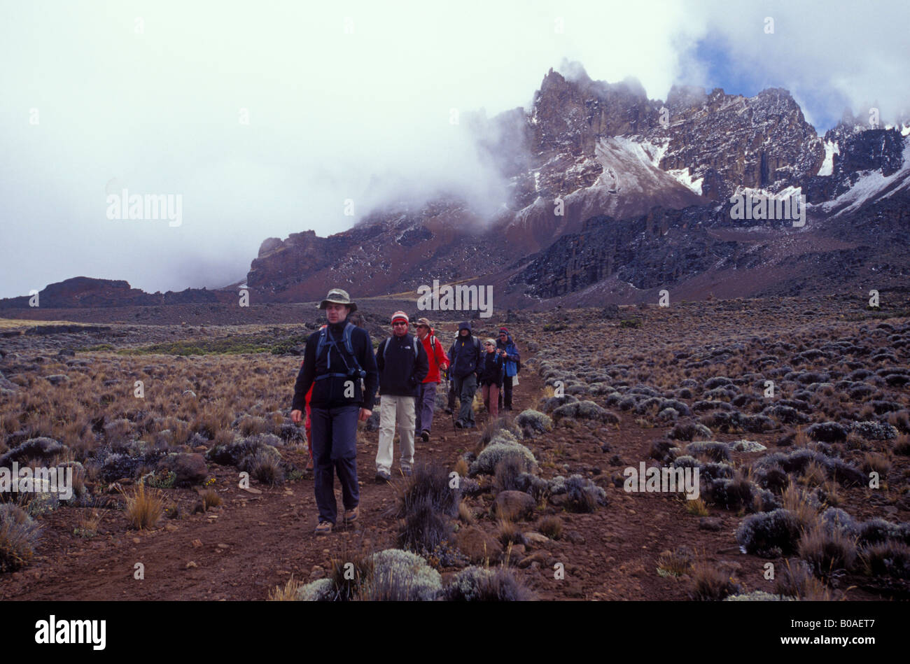 Mount Kilimanjaro, Tanzania, Africa Stock Photo - Alamy