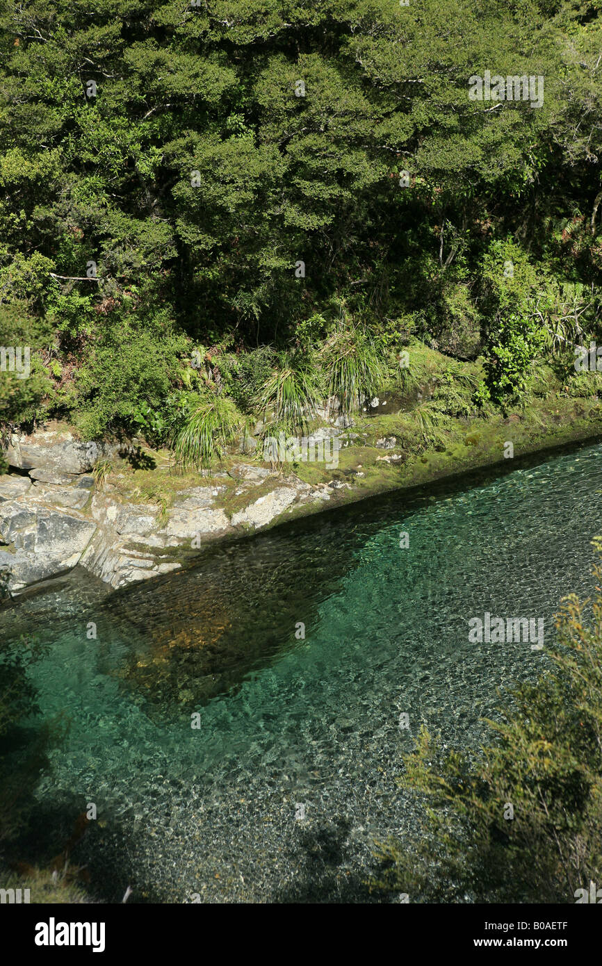 Haast river on route 6 South of Fantail falls Stock Photo - Alamy