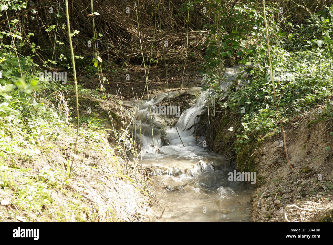 Natural spring emerging from the bottom of Barton Hills Stock Photo - Alamy