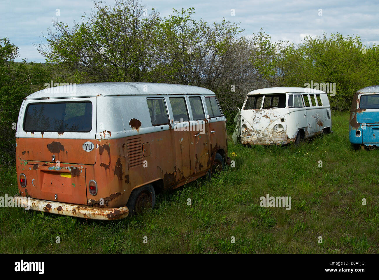 Volkswagen Van`s graveyard Stock Photo - Alamy