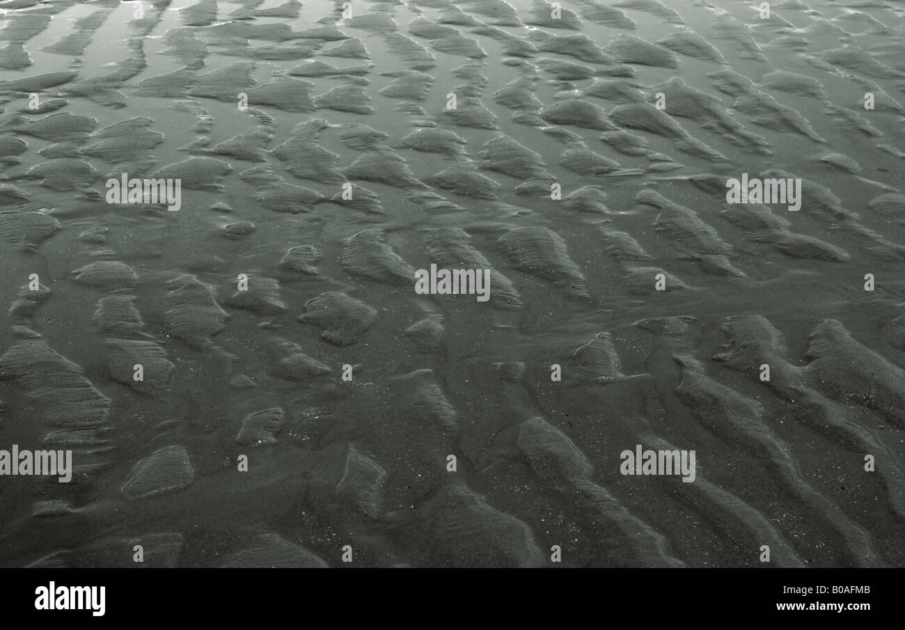 Imagecoast hi-res stock photography and images - Alamy