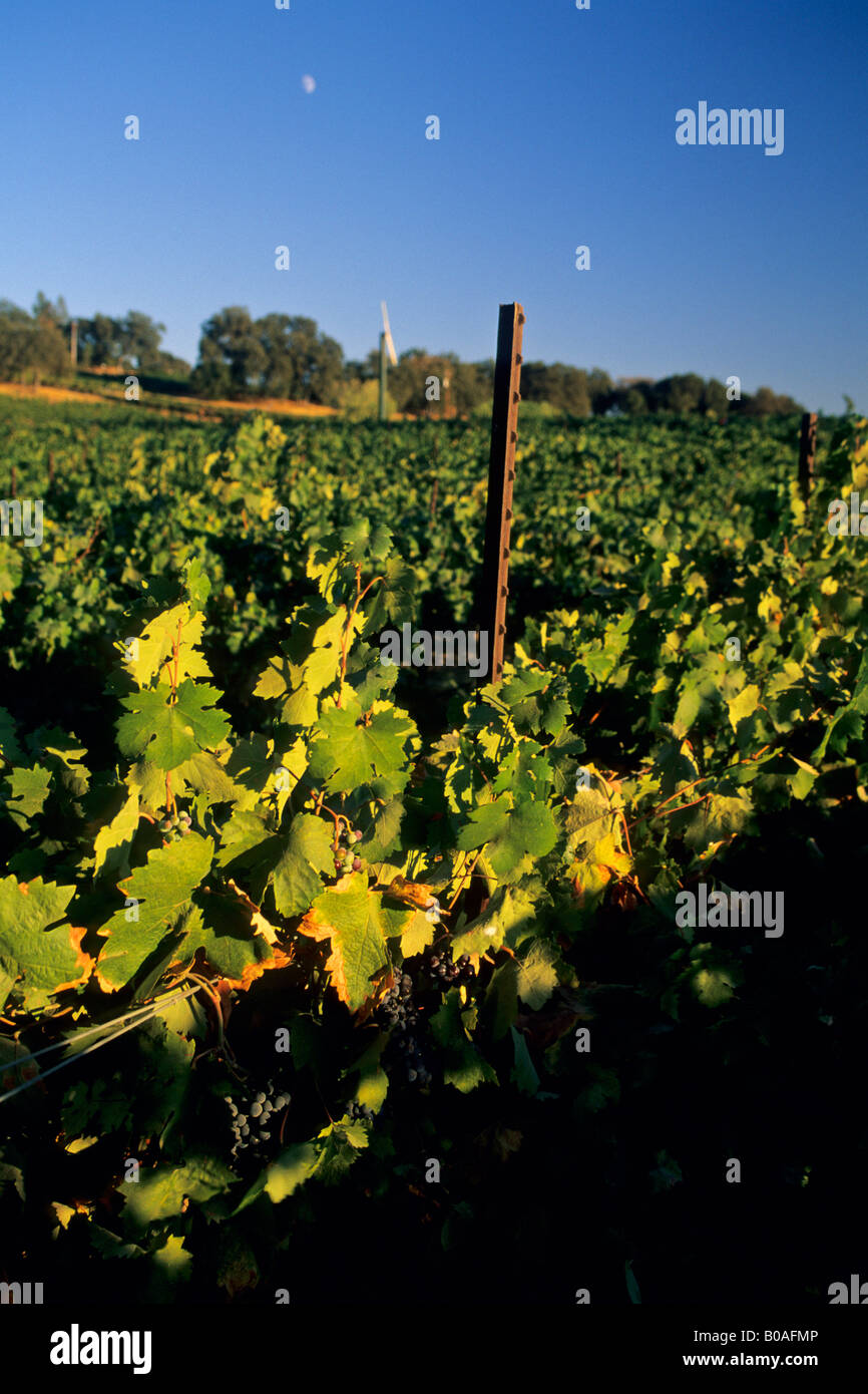 Shenandoah valley farmland hi-res stock photography and images - Alamy