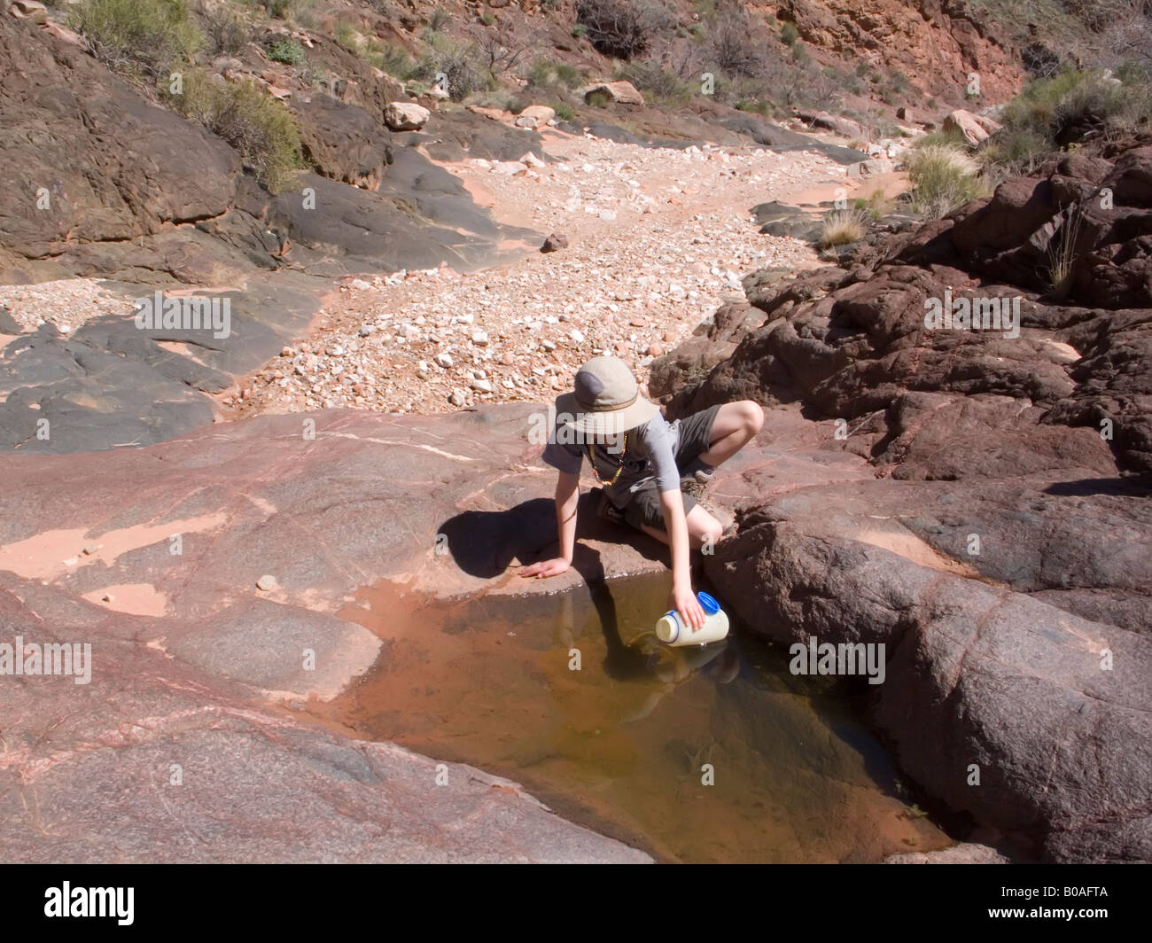 Boy Gathers Drinking Water from Pothole while Backpacking in Grand ...