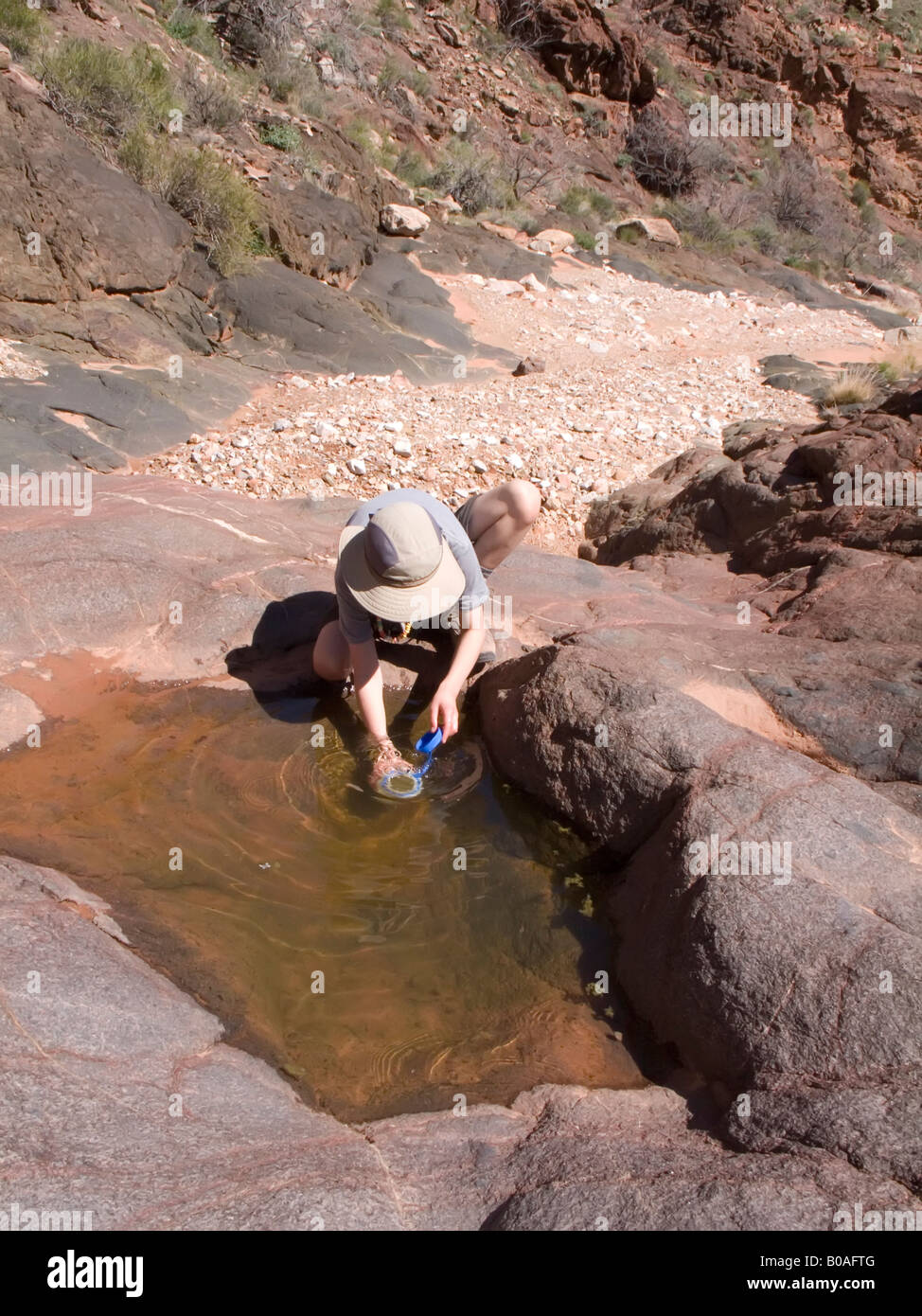 Boy Gathers Drinking Water from Pothole while Backpacking in Grand ...