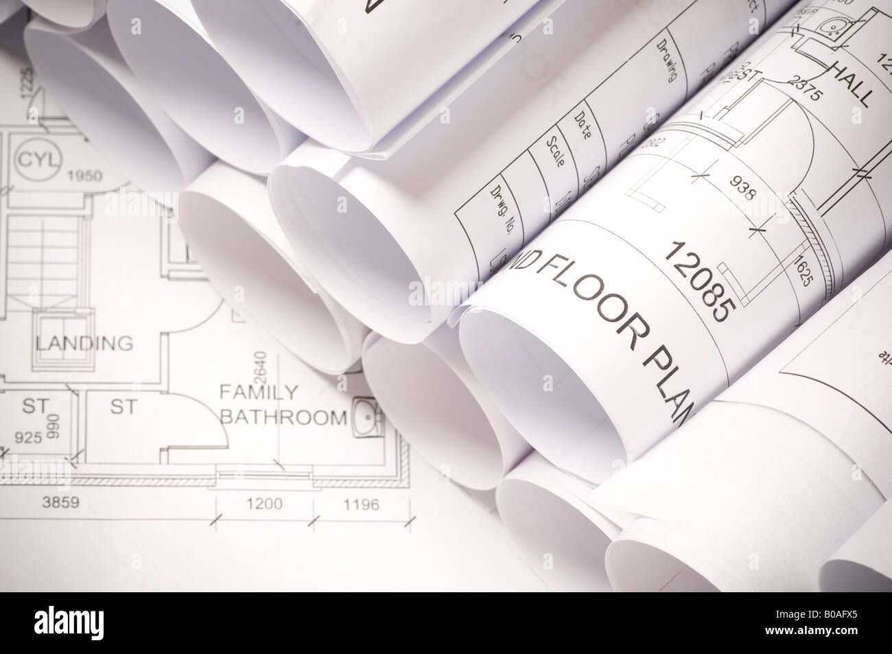 Closeup of rolled up paper copies of architectural floor plans for a ...