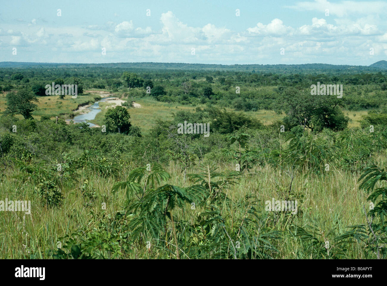 Luangwa valley wet season hi-res stock photography and images - Alamy