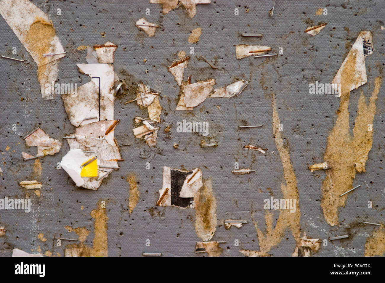 Bulletin board with just staples and stubs of paper Stock Photo - Alamy