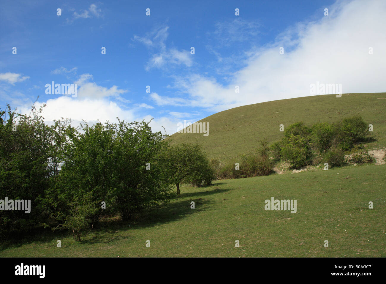 Hill hills country trees shrubs hi-res stock photography and images - Alamy