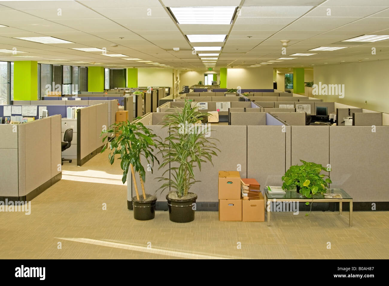Corporate office settings showing desks cubicles files and conference ...